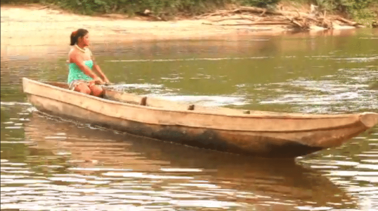 Indígenas venezolanos: historia, cultura, pueblos, fiestas, y más.