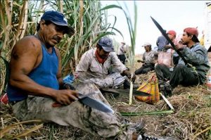 Chortis: Ubicación, Religion, Vestimenta, y mas sobre ellos