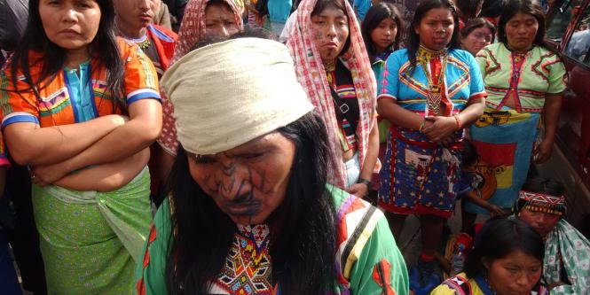 Lenguas indígenas de Colombia: todo lo que debe saber sobre ello