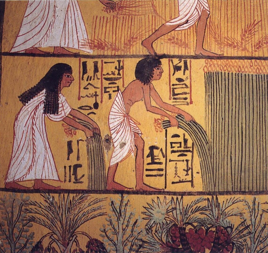 Descubre todo sobre la Agricultura en Mesopotamia