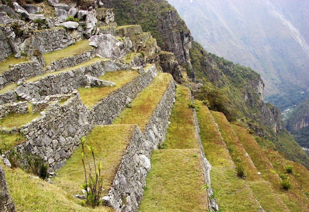 Descubre todo sobre la Agricultura Inca y mucho más