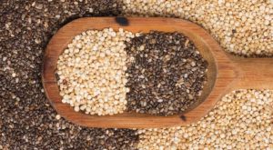 Semillas de Quinoa: lo que aún no sabes sobre este versátil producto