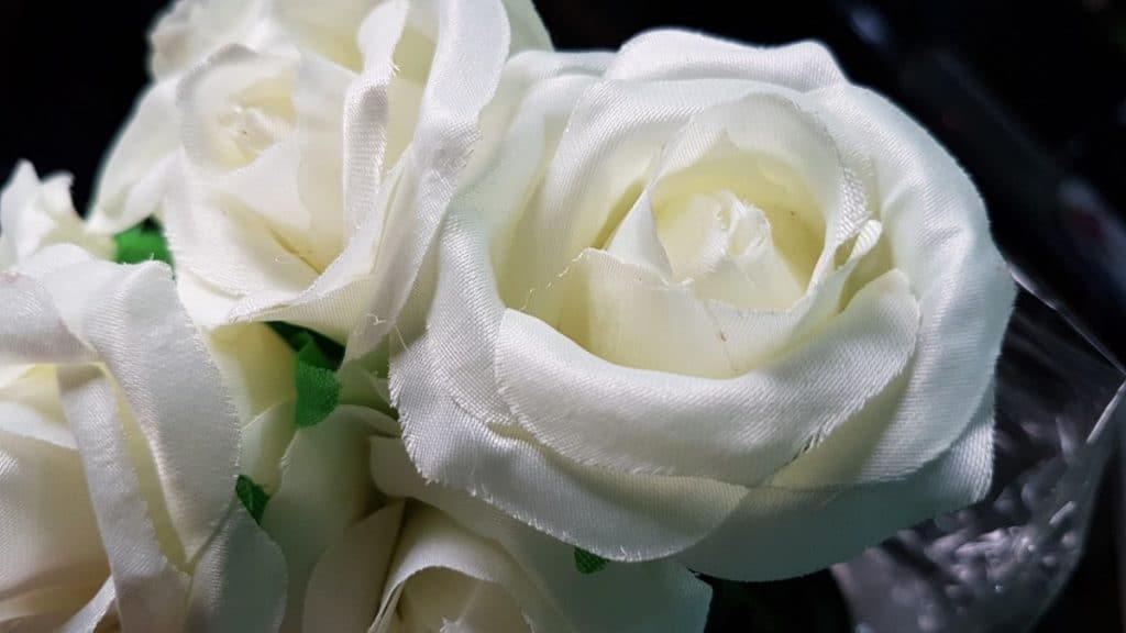 Descubre todo sobre las Semillas de Rosas