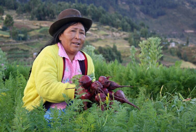Agricultura en Bolivia: lo que aún no sabes sobre esta actividad económica