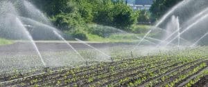 Riego por Aspersión: Qué es, características, sistema y más
