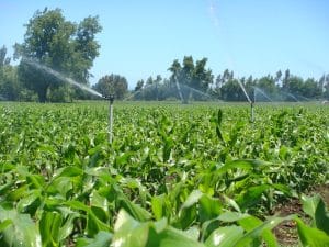 Riego por Aspersión: Qué es, características, sistema y más