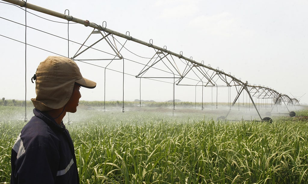 ¿Sabe qué es el Riego por Gravedad? Descúbralo aquí