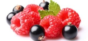Aprende todo sobre las Partes del Fruto y sus funciones