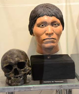 ¿Conoces al hombre de Tepexpan? Descubre todo sobre él aquí