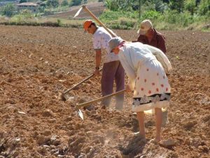 Tepehuanes: Historia, significado, ubicación y mucho más