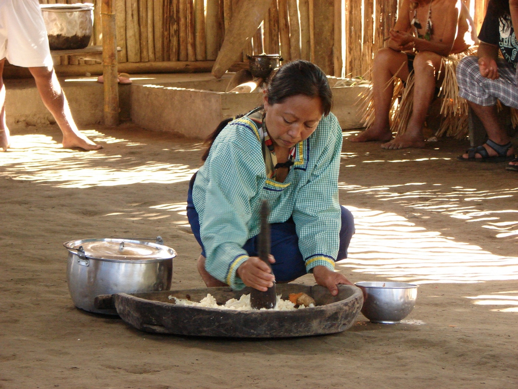 Descubre todo sobre los ANDOAS, historia, características y más