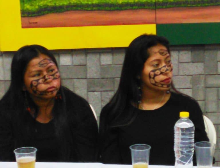 Descubre todo sobre los ANDOAS, historia, características y más