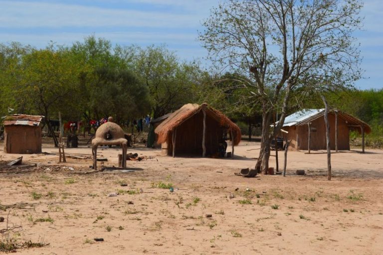 MOCOVÍES: Significado, características, ubicación y mucho más