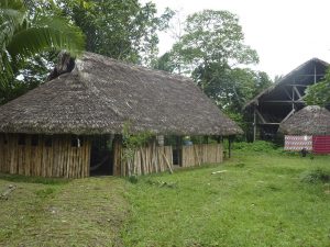 ACHUAR: Ubicación, Características, Vestimenta y más