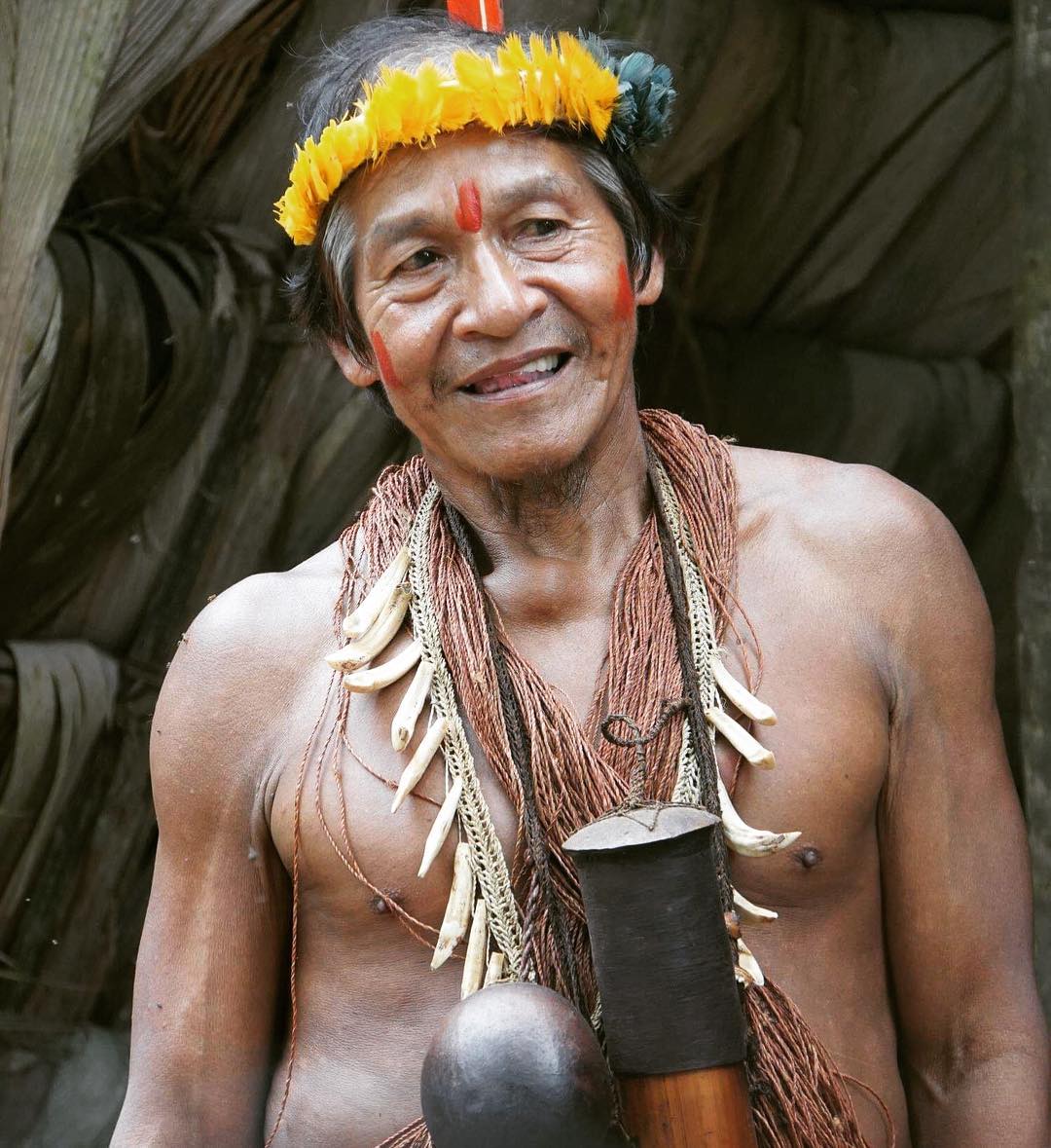 HUAORANI: Ubicación, vestimentas, costumbres y más